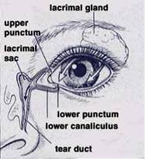 Tear Drainage Surgery in San Diego | Kimberly Cockerham, MD
